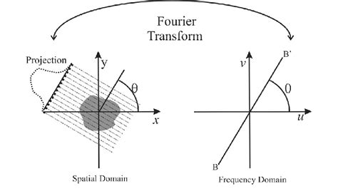 Fourier Sections Theorem Download Scientific Diagram