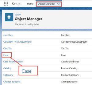 How To Create Date Time Field Type In Salesforce
