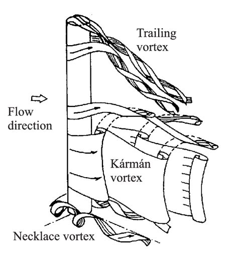 27 Visualisation Of The Flow Around A Person In A Uniform Flow Field