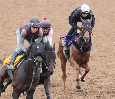 【菊花賞】アレグロブリランテ 大外悪くない 上原佑師「他の馬の影響を受けにくいので」 競馬ニュース Netkeiba