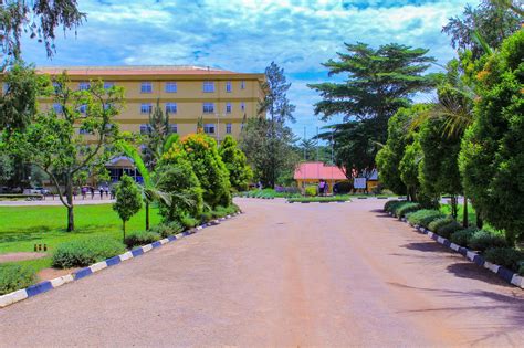 Ndejje University Logo