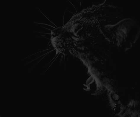 REST Api With Mongodb And Nest Js Codementor