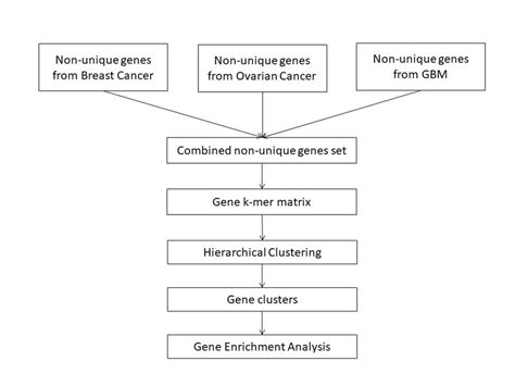 analysis pipeline of the proposed algorithm download scientific diagram
