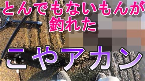 とんでもないものが釣れた！！でかすぎ・・・ Youtube