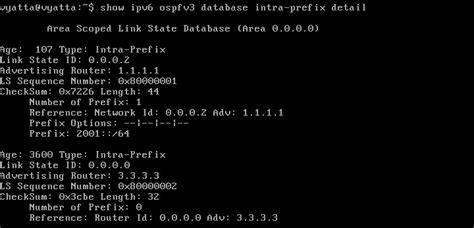 A Look At The New Lsa Types In Ospfv With Vyatta And Cisco