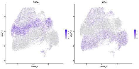 Evercode TCR Compared With Chromium V D J On Activated Human CAR T