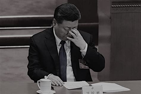 前党校教授蔡霞中共与美国打贸易战 必输无疑 金牌资讯网