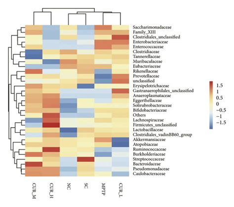 Analysis Of 16srrna In The Gut Microbiota Of Pd Mice Shows That Download Scientific Diagram