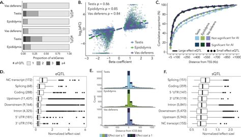 Figure 1 From Molecular Quantitative Trait Loci In Reproductive Tissues Impact Male Fertility 1