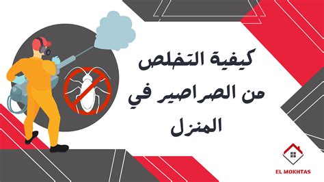 كيف تتخلص من الصراصير في المنزل