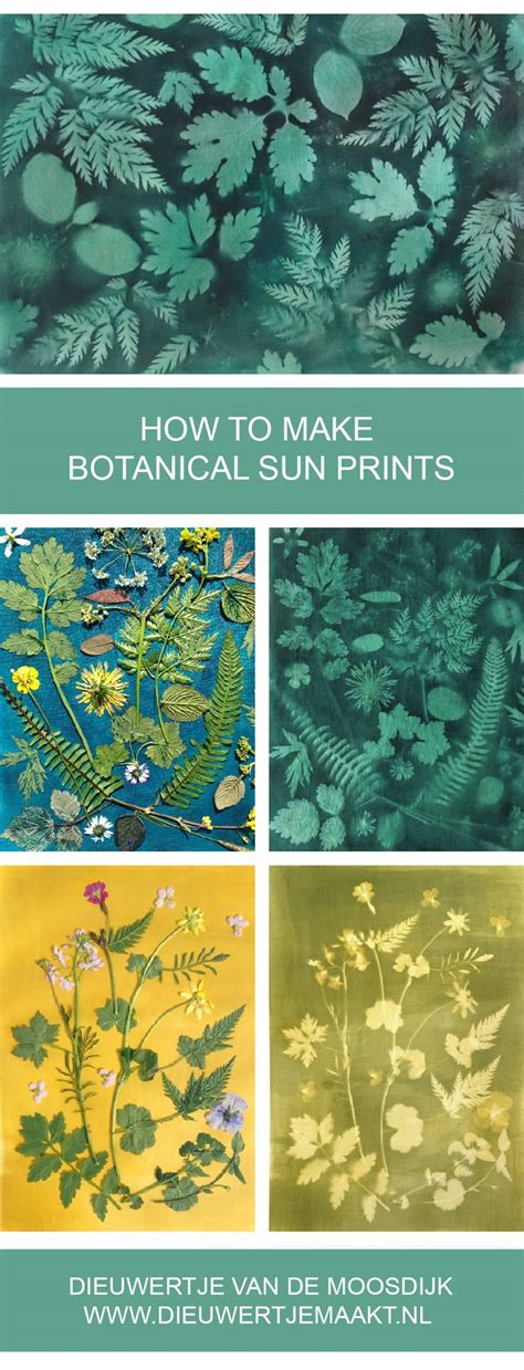 Its Sun Printing Season Again Heres A Nice Tutorial On A Few Different Methods Sun Prints