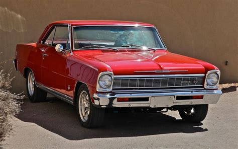 Roberta Beyer Photo Flurries