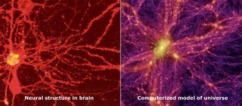 Computer Chip Mimics Human Brain