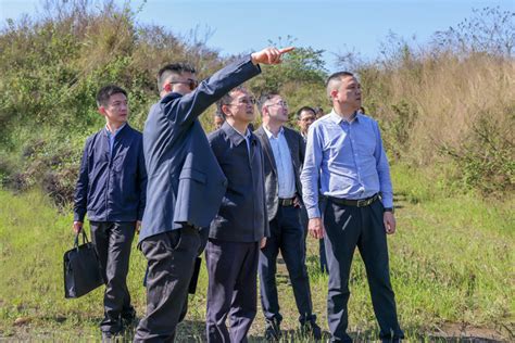 川高公司党委书记、董事长黄兵赴川高文旅公司峨眉·春台、都江堰紫云台项目考察调研 四川高路文化旅游发展有限责任公司