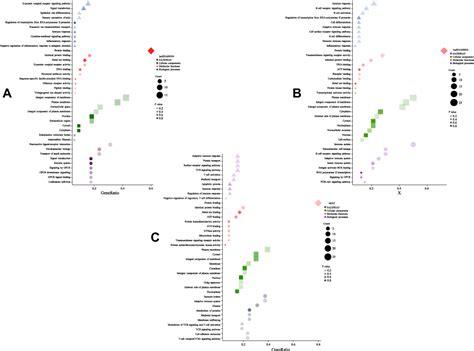 Screening Key Lncrnas Of Ankylosing Spondylitis Using Bioinformatics A Jir