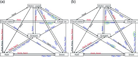 Flowcharts Of The Microphysics Processes In The A Wsm6 And B Plin