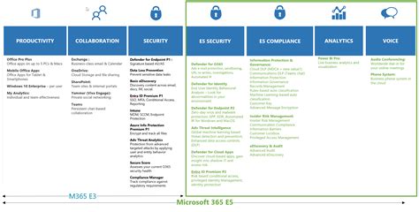 Partner Support Microsoft Purview Information Protection All Licenses · Fasttrack Partner