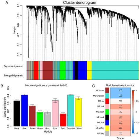 Samples Clustering To Detect Outliers Gse68417 A Cluster
