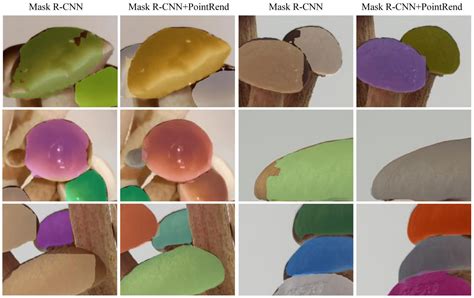 Ac R Cnn Pixelwise Instance Segmentation Model For Agrocybe
