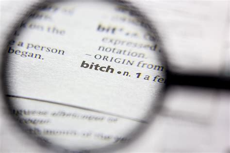Massachusetts Lawmaker Wants To Criminalize The Word Bitch