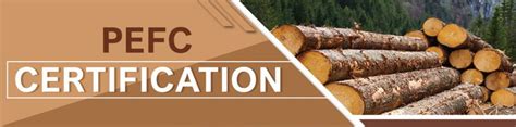 Pefc Certification Best Consultants In Uae Ascent Emirates