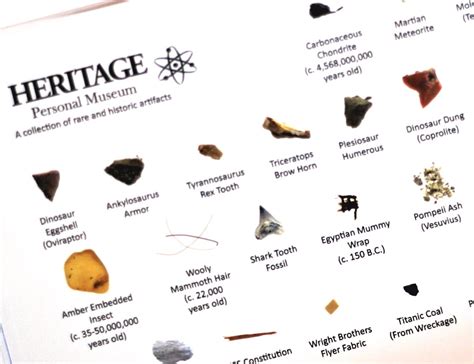 Heritage Personal Artifact Museum Key Features Price And Alternatives