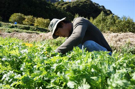 夫婦で独立しました 自然農法 若葉農園