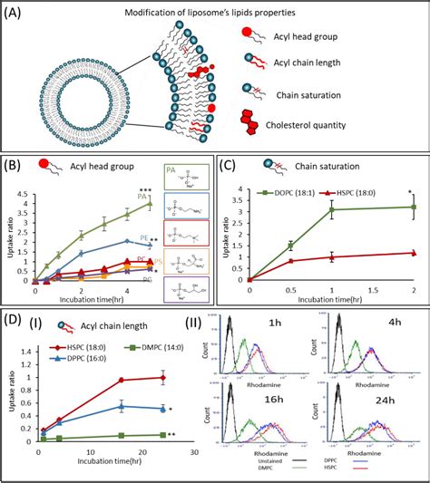 Figure From Tailoring The Lipid Composition Of Nanoparticles Modulates Their Cellular Uptake
