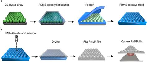 Schematic Illustration Of The Process Used To Fabricate The Convex Download Scientific Diagram