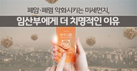 폐암·폐렴 악화시키는 미세먼지 임산부에게 더 치명적인 이유