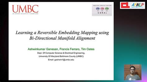 underline learning a reversible embedding mapping using bi