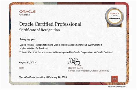 linh trang nguyen on linkedin oracle otm gtm techconsultant