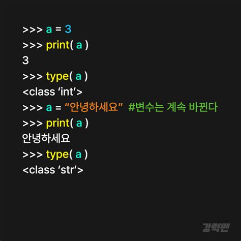 파이썬 기초 강의 01 함수와 변수 그리고 자료형의 개념 feat print type 함수 강력맨