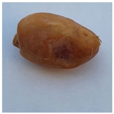 Applied Sciences Free Full Text Date Fruit Classification Based On