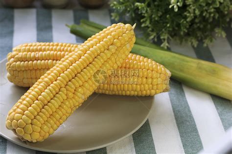 玉米高清图片下载 正版图片500685128 摄图网