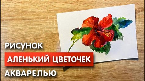 Как нарисовать аленький цветочек карандашом и акварелью начинающим