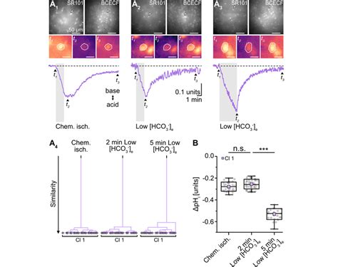 Effect Of Chemical Ischemia On Phi A Measurement Of Phi Download Scientific Diagram