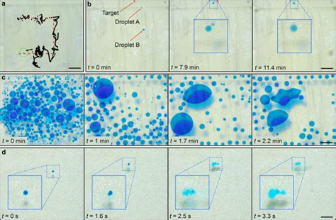 Programmable Droplet Microfluidics Based On Machine Learning And Acoustic Manipulation Pmc