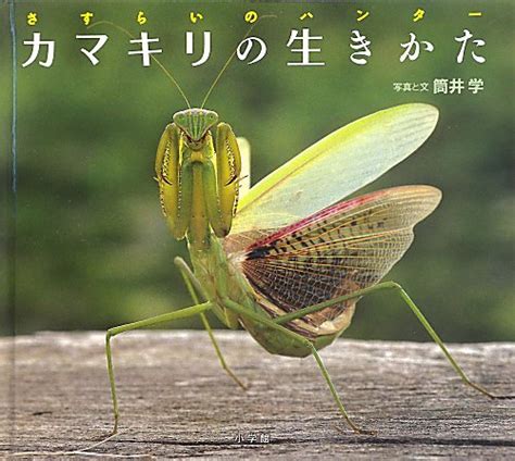 カマキリの生きかた 虫はともだち