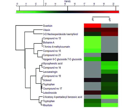 Heatmap And Hierarchical Clustering Based On Peak Areas Of Identified