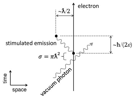 2 A Feynman Like Diagram Of The Proposed Mechanism By Which The Rest