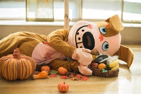 똑똑똑⁉️가을이 왔어요🐶 패키지 선선한 바람이 부는 계절 🍂 가을 분위기를 물씬 풍기는 도그 가을이가 풍성한 선물 바구니와 함께 온 가족이 함께 즐길 수 있는