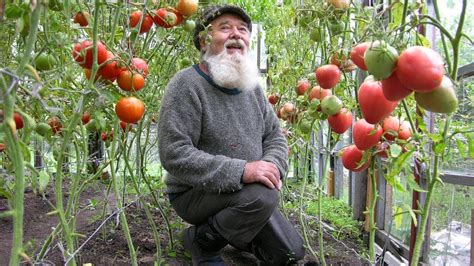 Этот полузабытый дедовский рецепт я выписала из старой газетной подшивки но опробовать все не