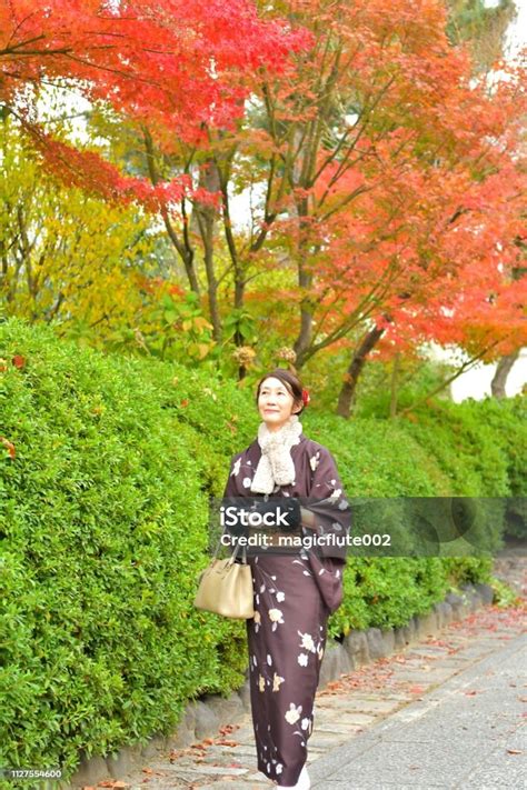 교토에서 화려한 단풍나무를 감상 하는 기모노에서 일본 여자 50 59세에 대한 스톡 사진 및 기타 이미지 50 59세 가을