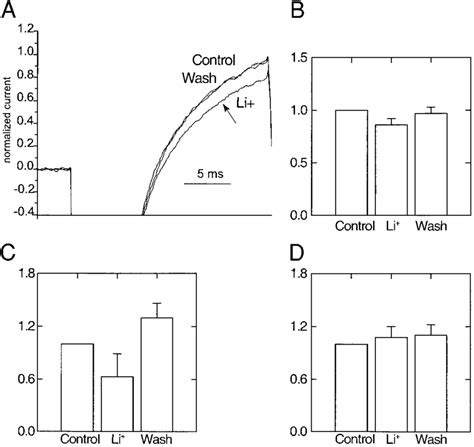Effect Of Extracellular Nacl Substitution With Licl On Voltagedependent Download Scientific