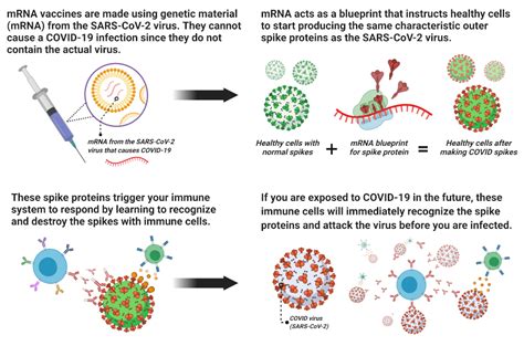 What To Know About COVID 19 Vaccines Remote Medical International