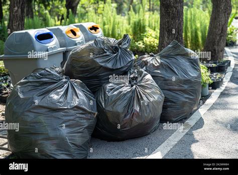 Plastic Trash Bin Bags Of Garbage On The Pavement In Park Clean
