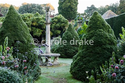 Carole Drake Blog Garden Photography