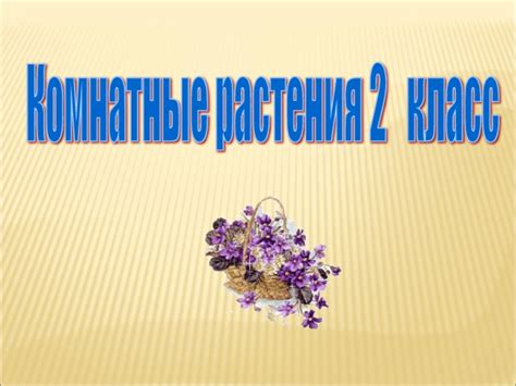 Комнатные растения 2 класс презентация доклад