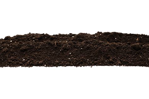 흰색 배경에 고립 된 식물을위한 검은 땅 프레임 0명에 대한 스톡 사진 및 기타 이미지 0명 가뭄 개념 Istock